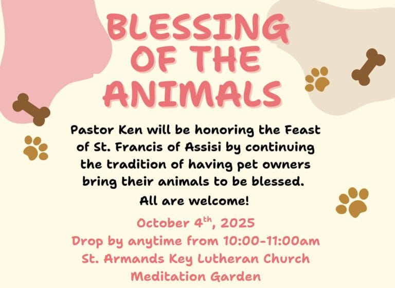 Join us on Saturday, October 4th for the Blessing of the Animals - St ...